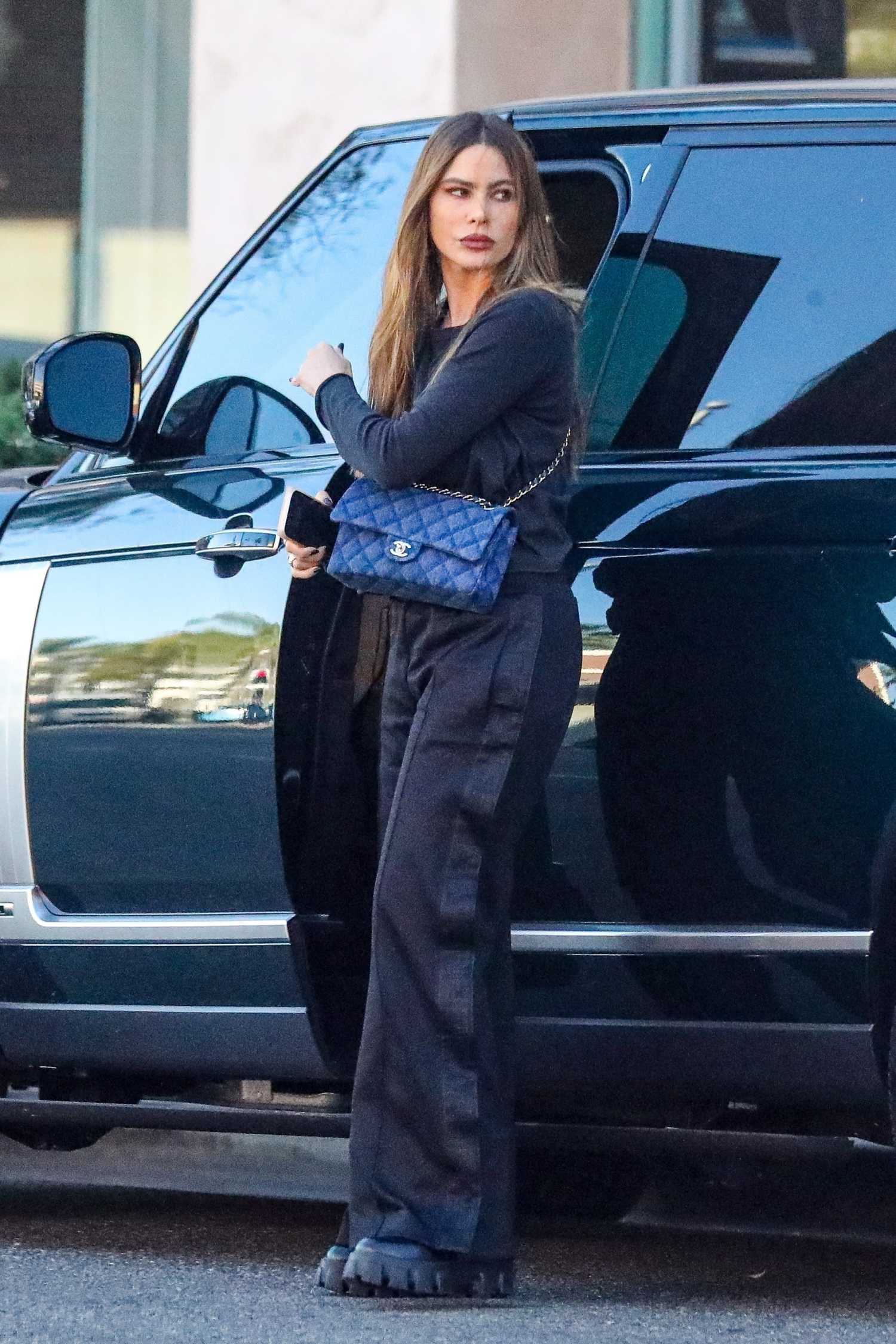 Sofia Vergara in a Black Outfit Goes Shopping in Century City – Celeb Donut