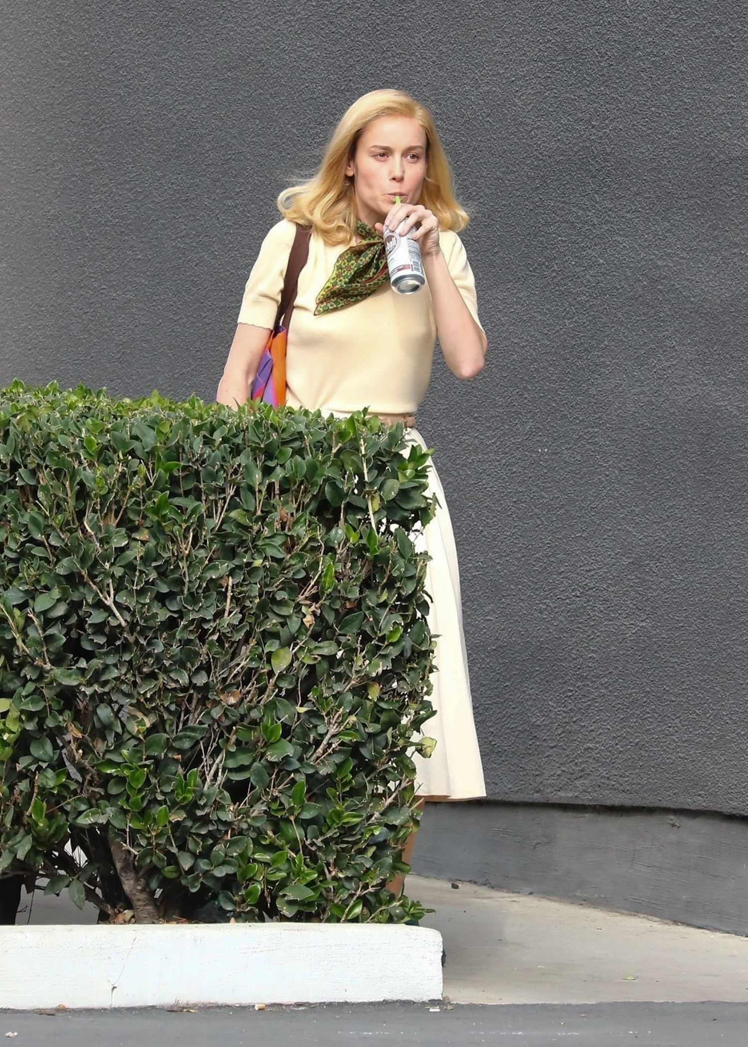 Brie Larson – Celeb Donut