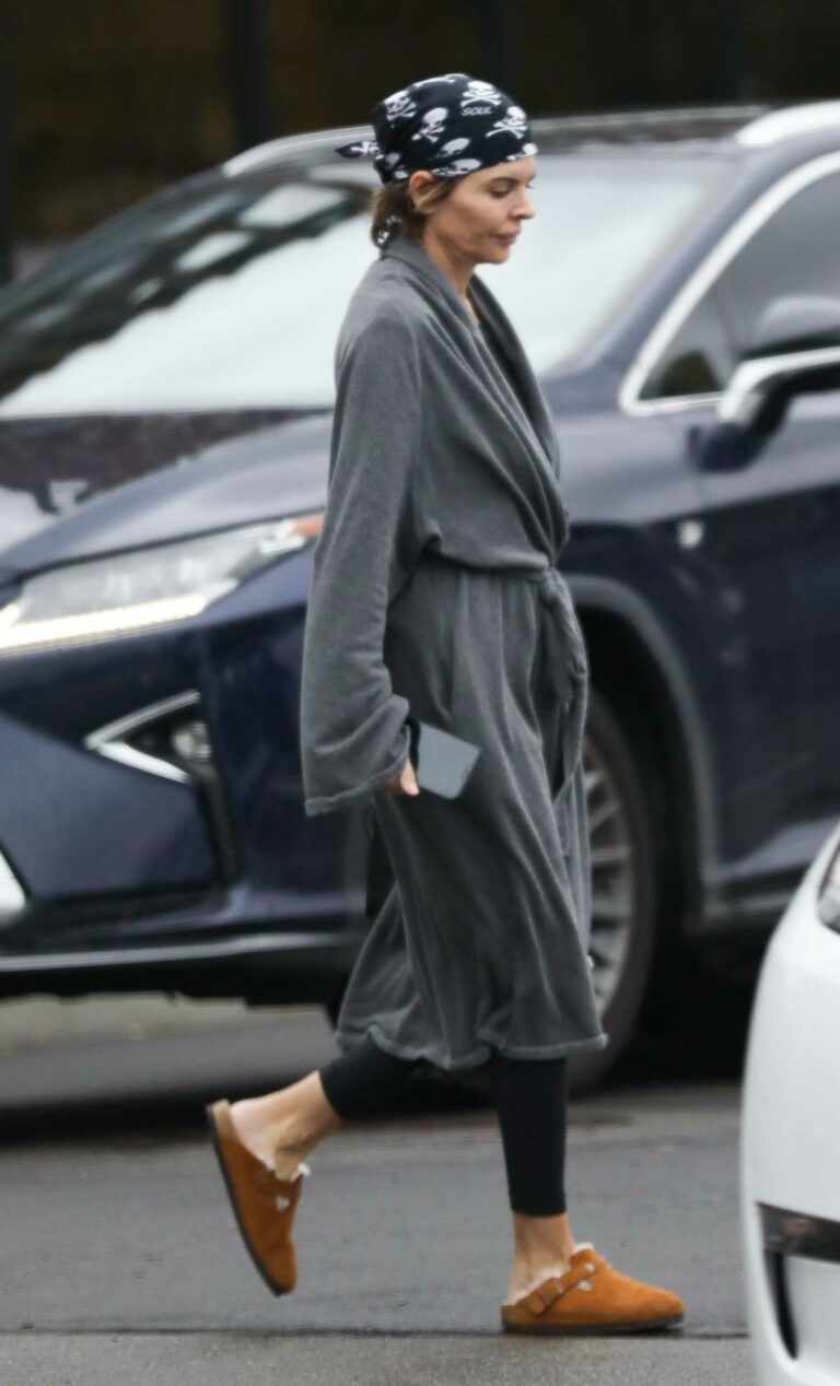 Lisa Rinna in a Grey Bathrobe Was Seen Out in Studio City – Celeb Donut
