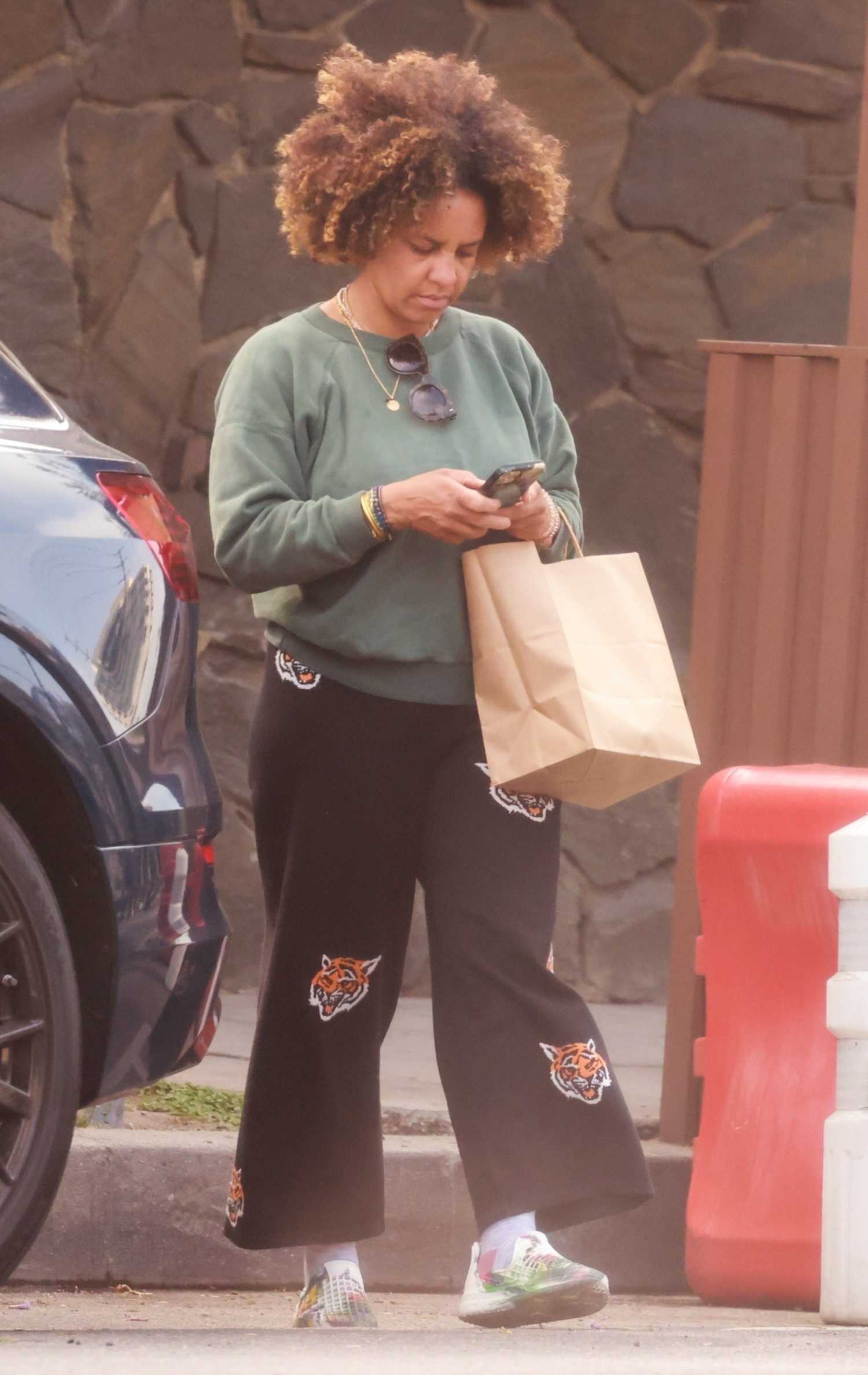 Aryn Drake-Lee in an Olive Sweatshirt Goes Shopping in Los Feliz ...